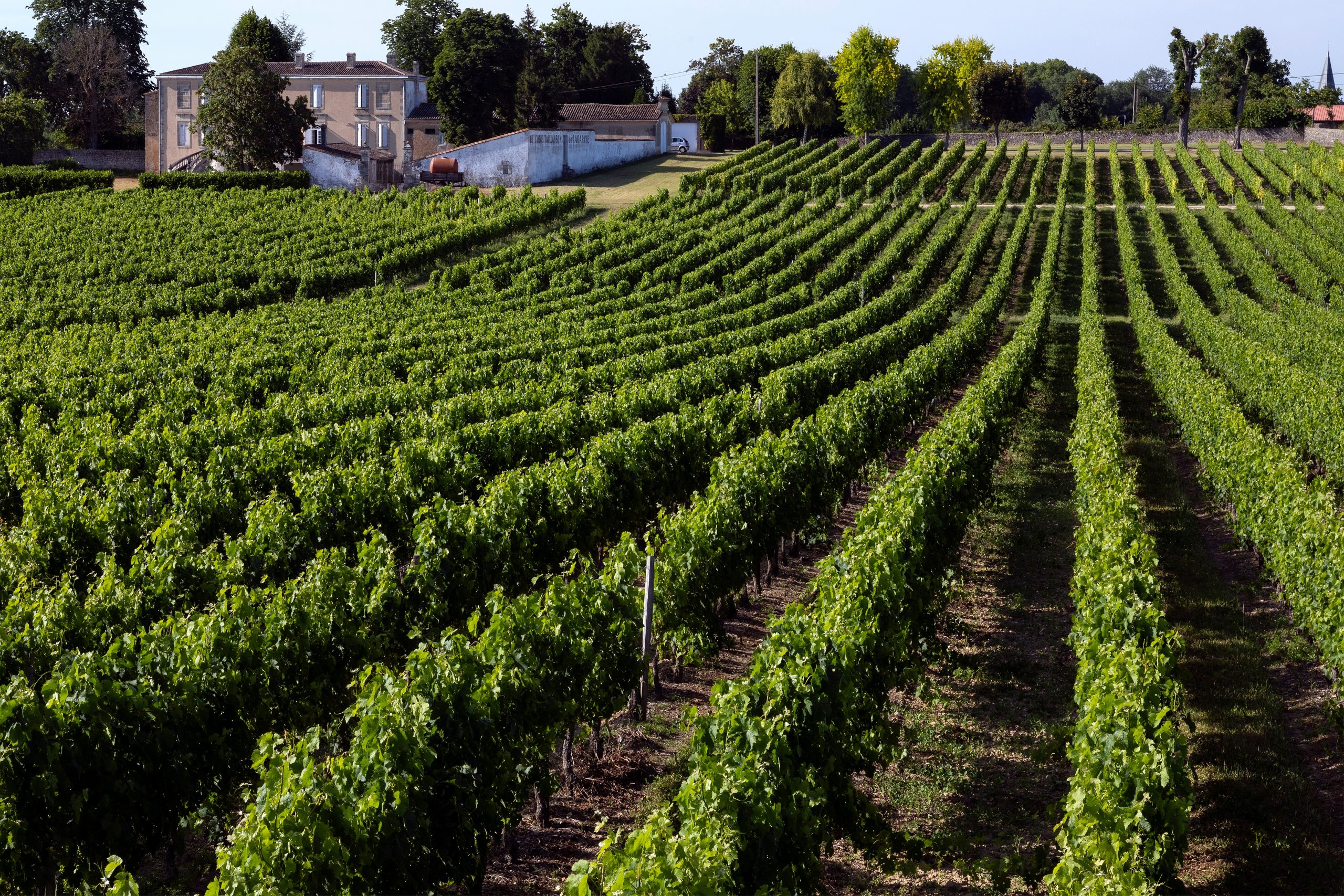 Viticulture - Corderie Lorenzi - Fabricant de ficelles et cordes en ...